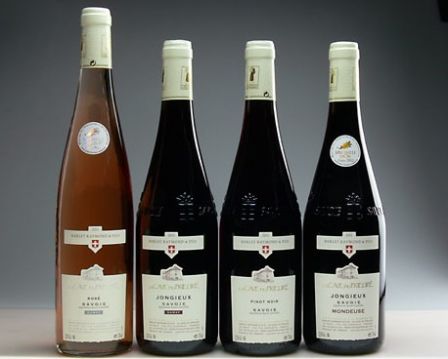 Vins Rouges - Boutique